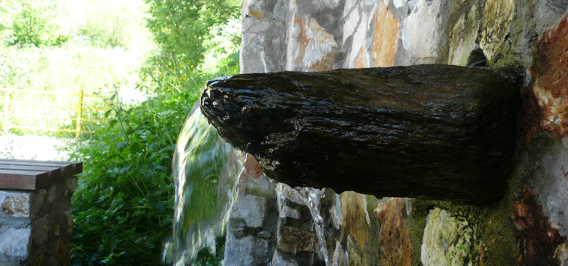 - The Prespa Experience